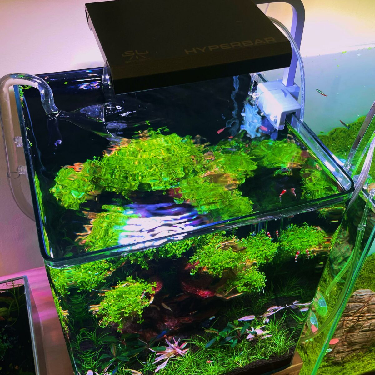 Skylight Premium Lighting Collection | Aqua Atlantis