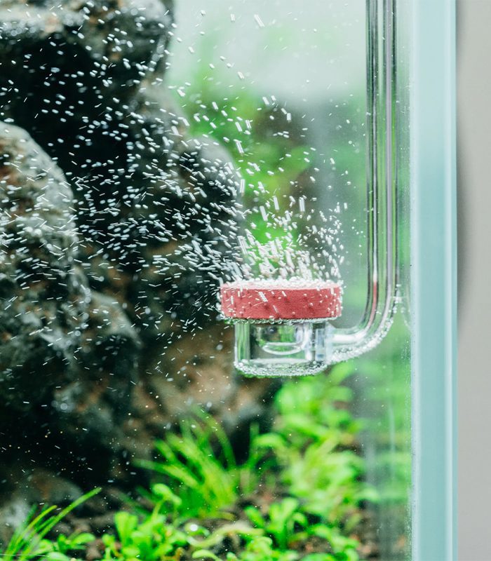 Twinstar – CO2 Diffuser Small | Aqua Atlantis | Aquascaping