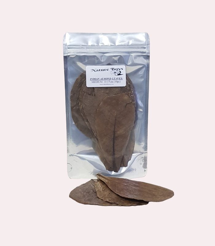 Nature Boys Indian Almond Leaves, ‘Nano’ (10pc) | Aqua Atlantis ...