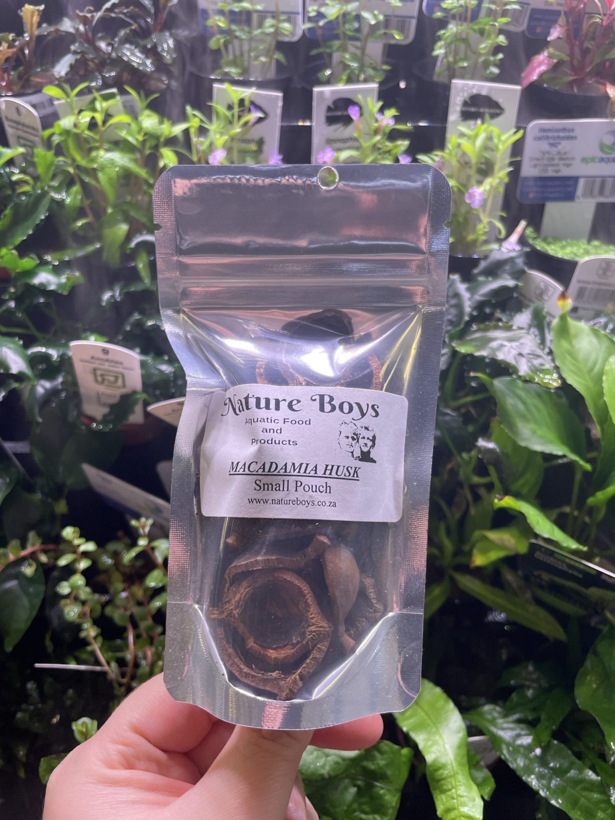 Nature Boys Macadamia Husks S | Aqua Atlantis | Aquascaping