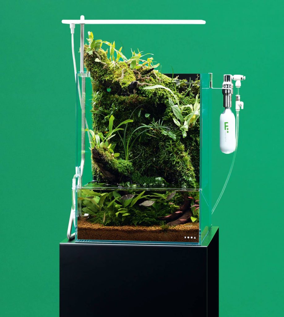 ADA Cube Garden 60p - Premium Glass Design